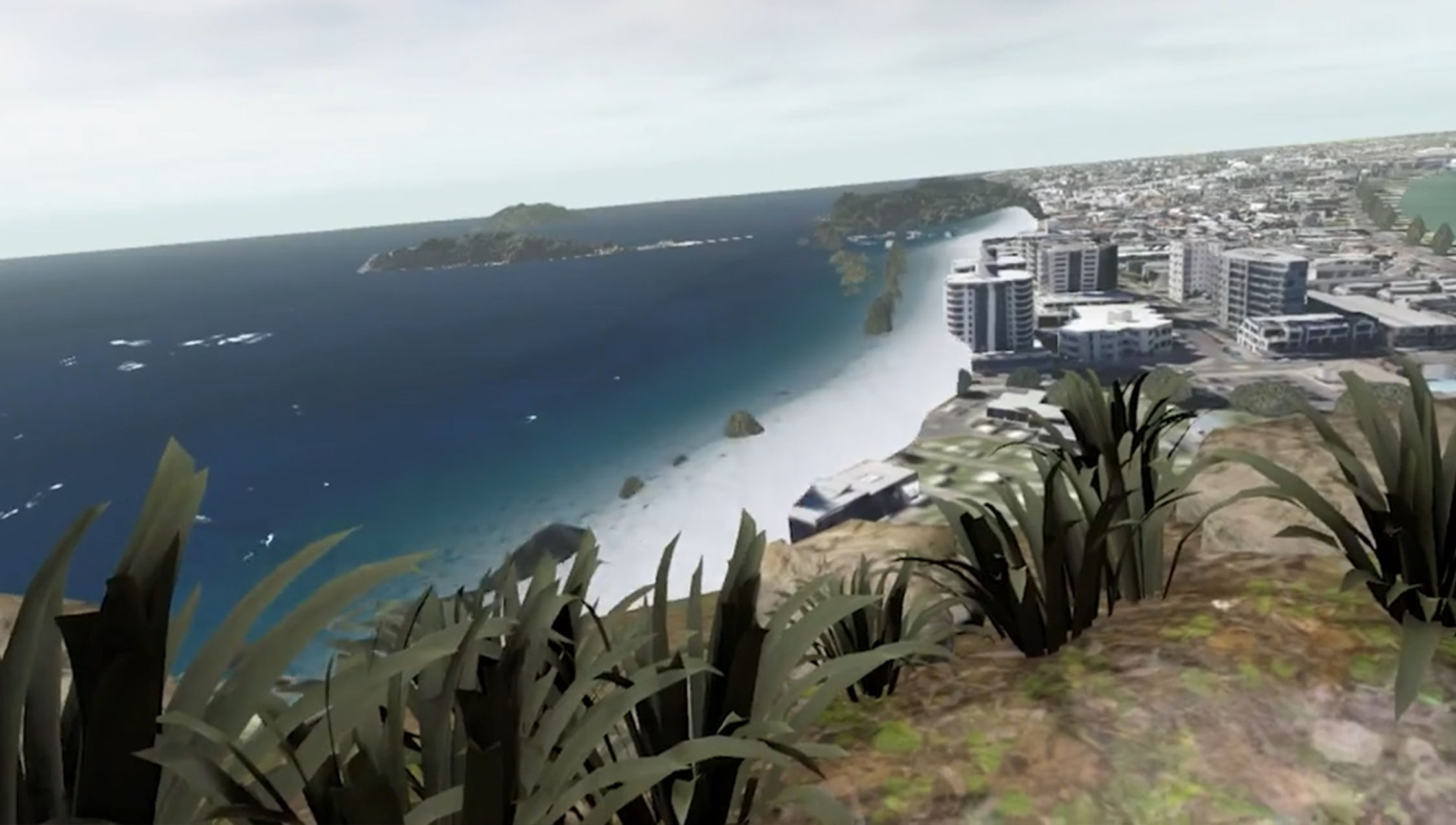 Case Study: Disaster Preparedness